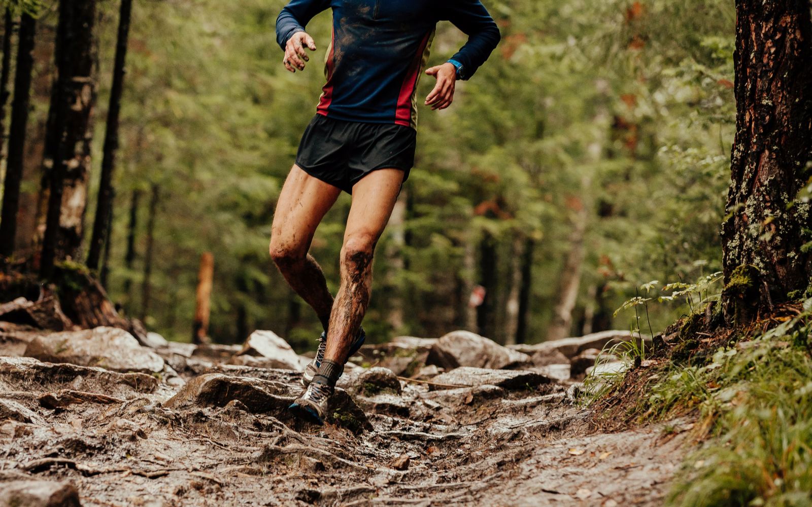 Allenamento trail running: programma per principianti e esperti | LBM Sport